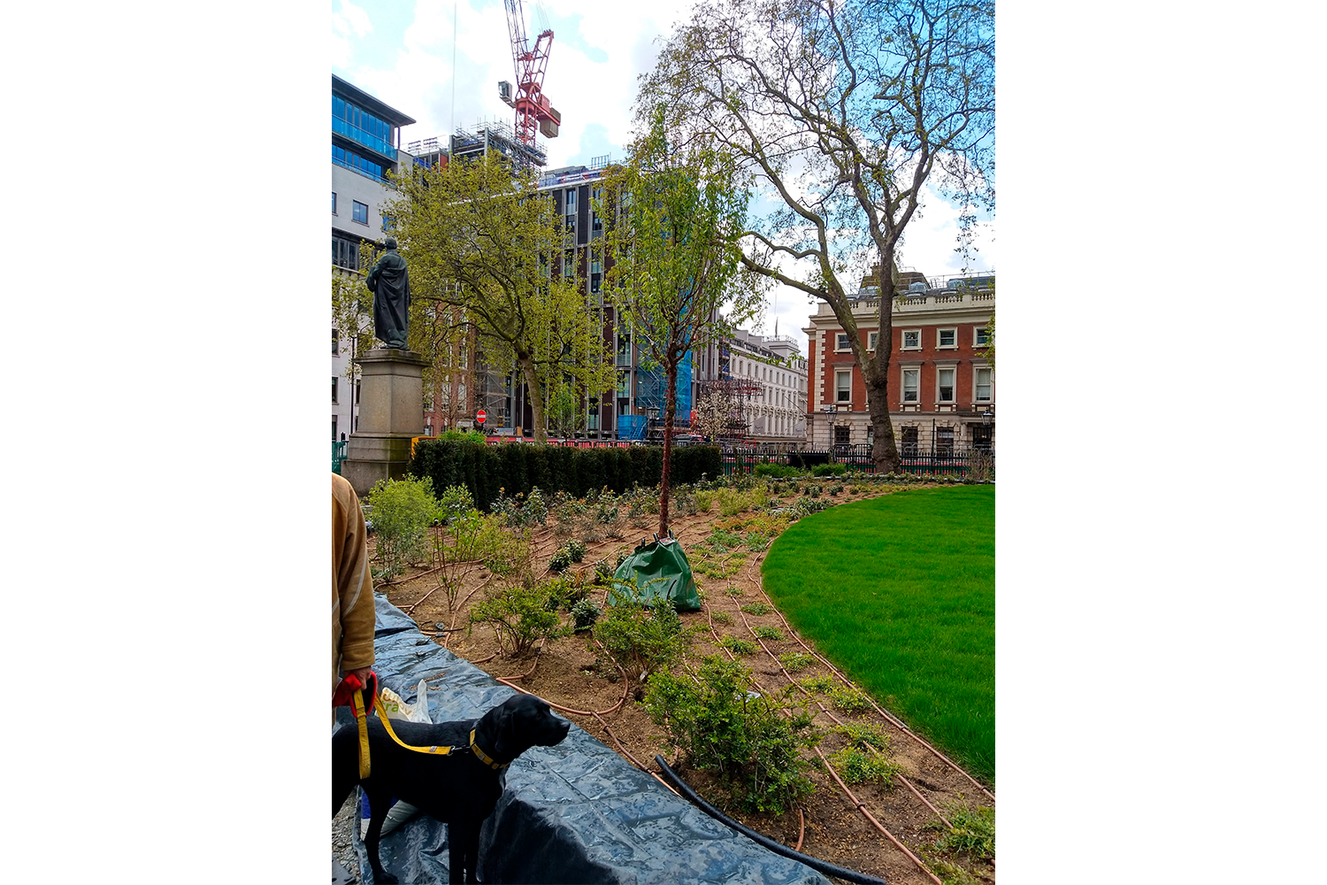 Publica — Hanover Square